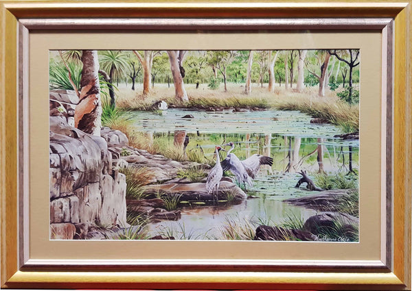 Framed Print of Swamp Birds – allaboutartaustralia